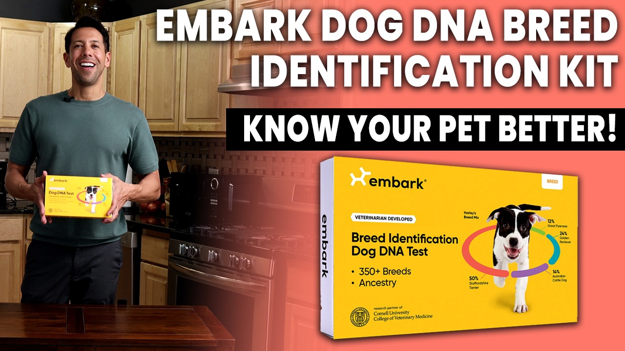 Watch Embark Breed Identification Kit - Dog DNA Test - Review on Amazon ...