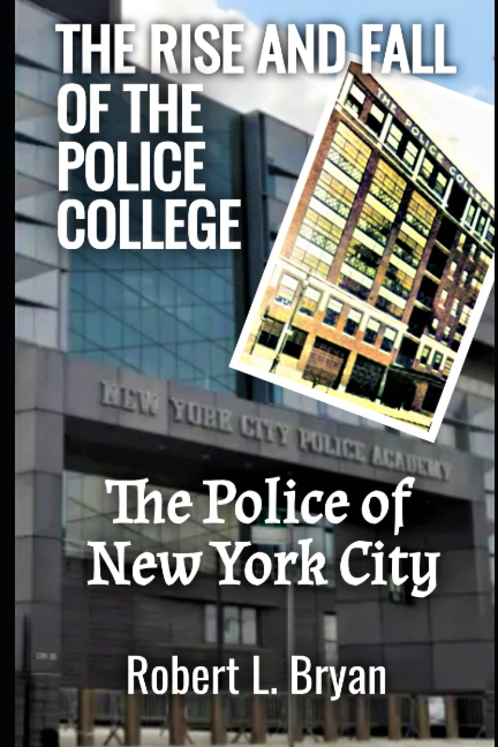 Amazon.com: THE POLICE OF NEW YORK CITY: THE RISE AND FALL OF THE ...