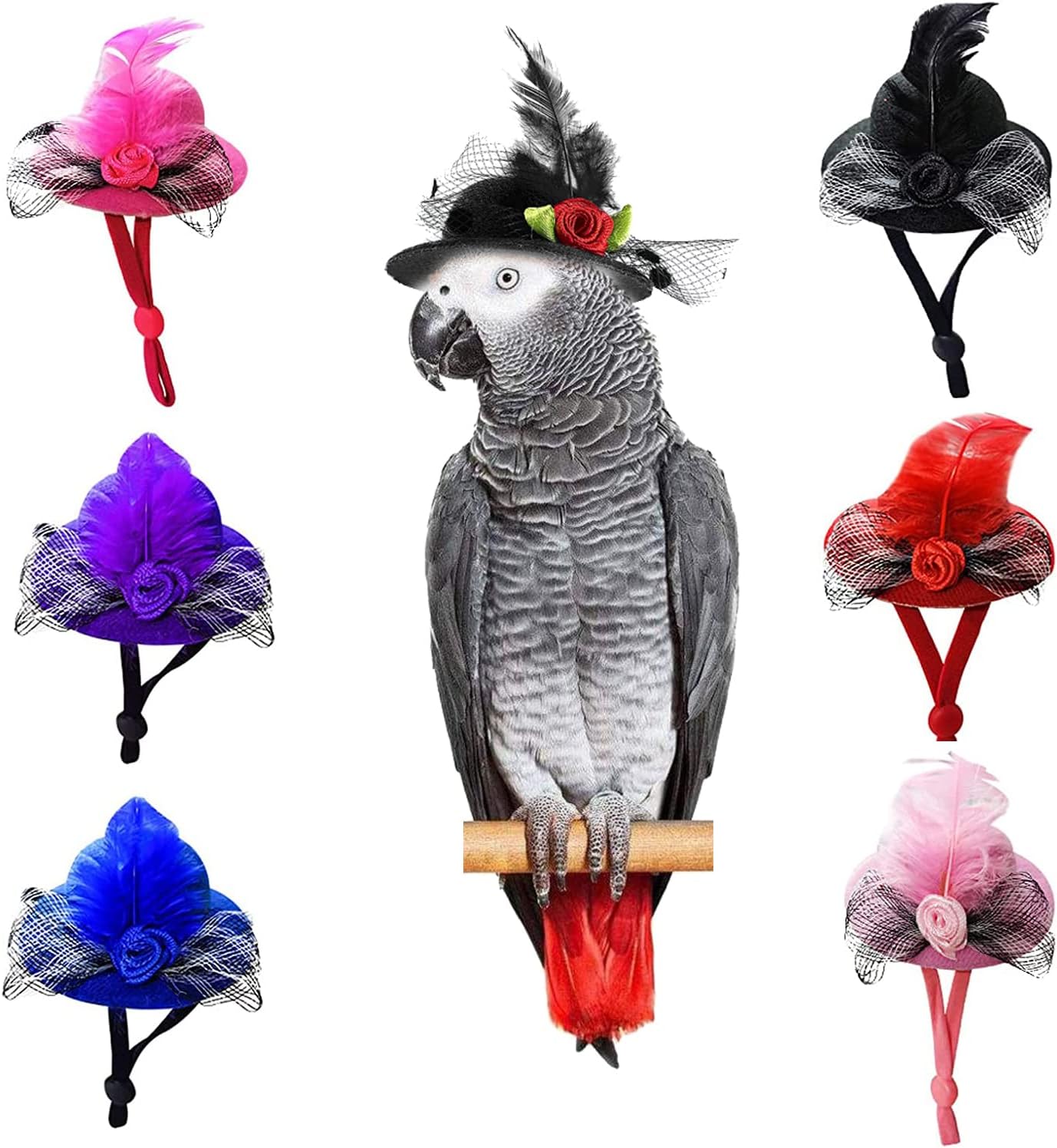 Amazon.com: 6Pcs Cute Birds Hat Funny Conure Hats for Parrot, Birthday ...