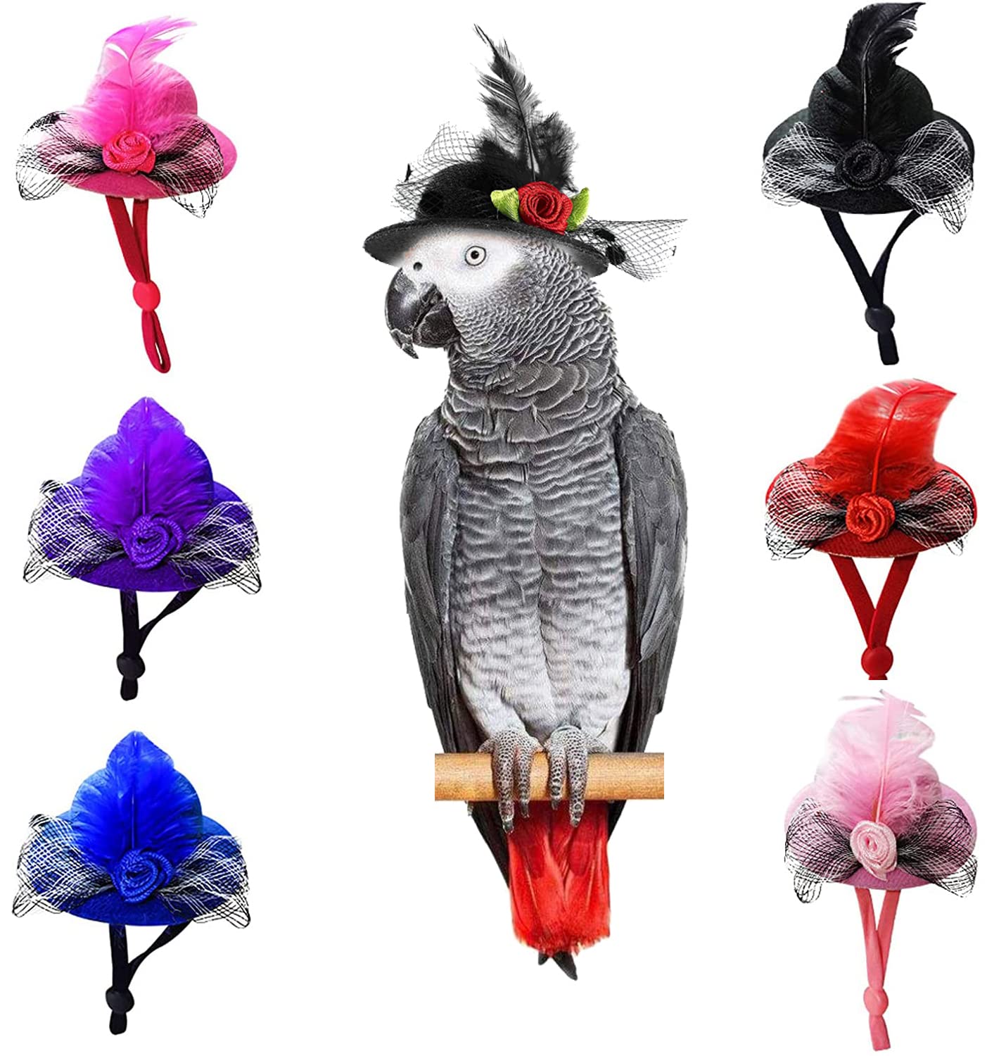 10 Best Parakeet Bird Clothing: Outfit Your Feathered Friend in Style ...