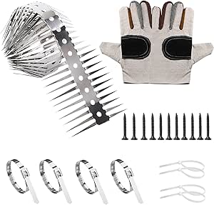 Amazon.com : QoTang 98.4 Inch Bird Spikes Stainless Steel Fence Spike ...