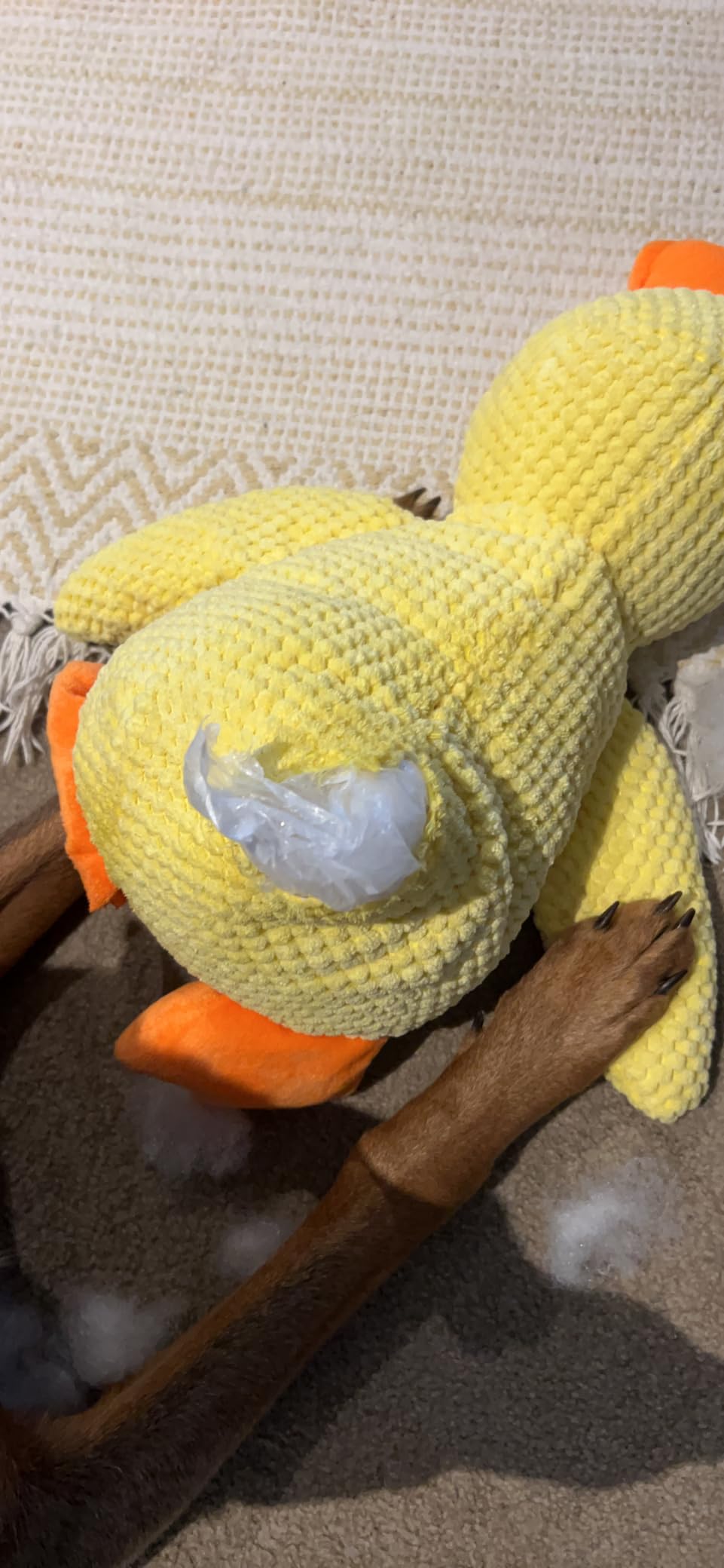 Mellow Dog, Dog Duck Toy, Plush Animal Chew Toy for Dogs with Rattling ...