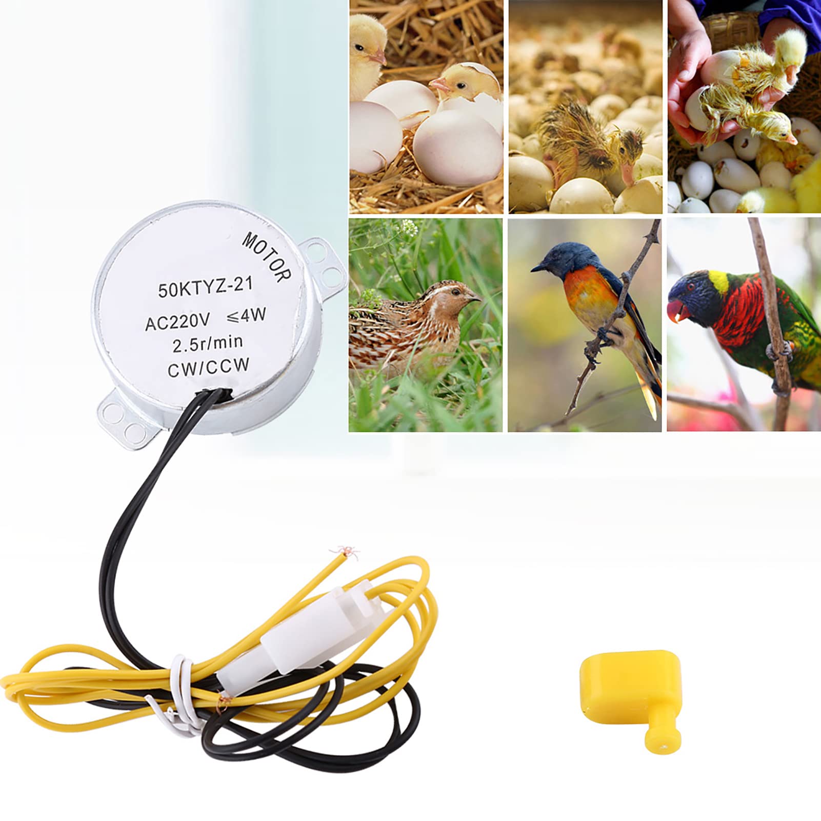 Snapklik.com : Synchronous Egg Turner Motor, 220V AC Chicken Egg Turner ...