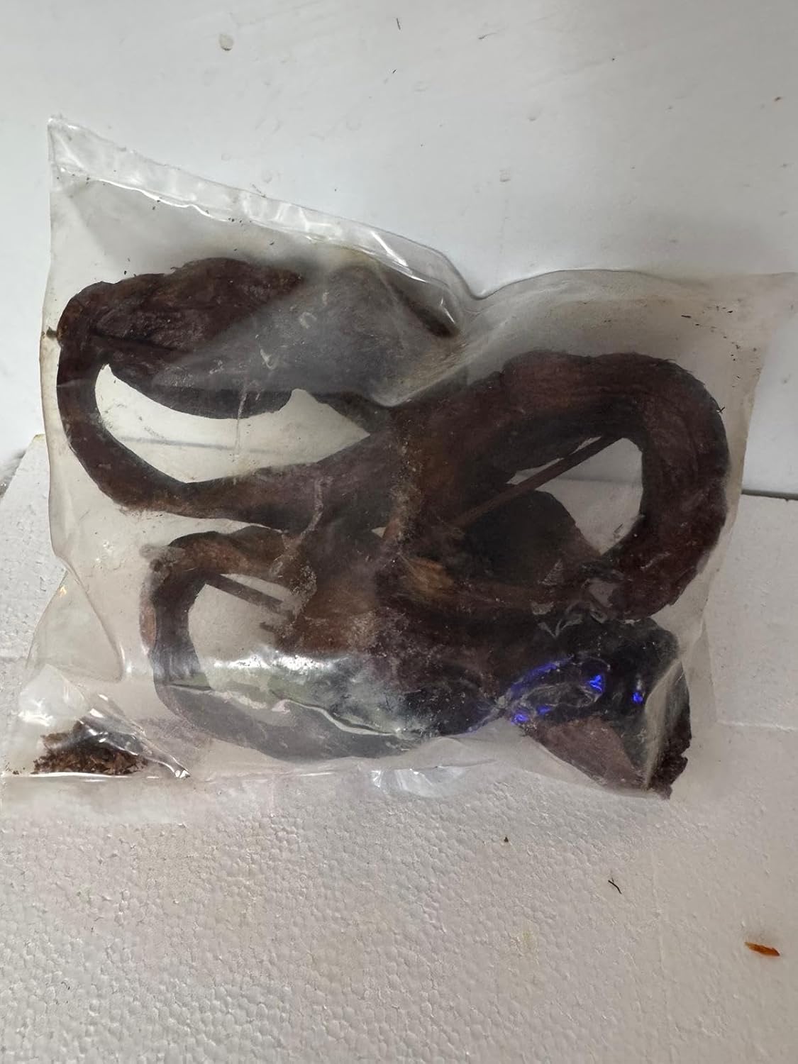 Amazon.com: Dry Abo Fish, Traditional Dried Fish, 1 Pack : Grocery ...