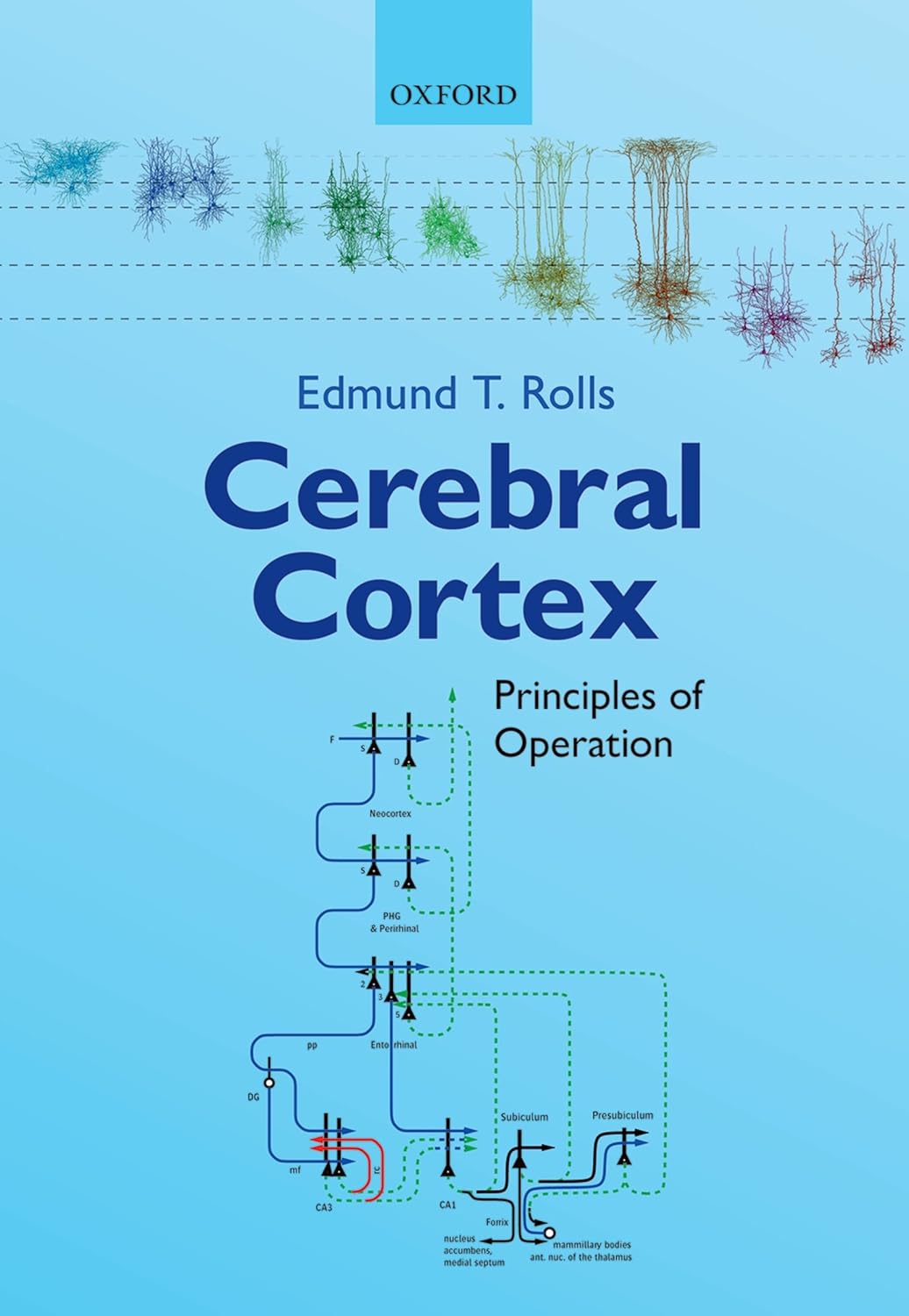 Amazon.com: Cerebral Cortex: Principles of Operation eBook : Rolls ...