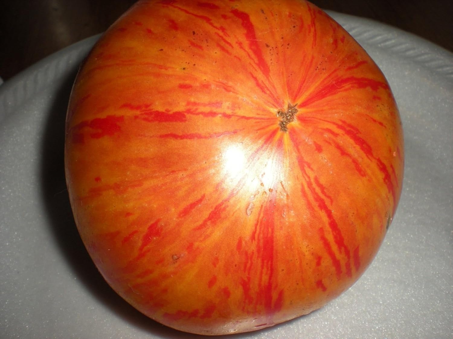 Amazon.com : Red Beauty King Tomato 20 SEEDS HUGE 1 POUND BI-COLOR ...