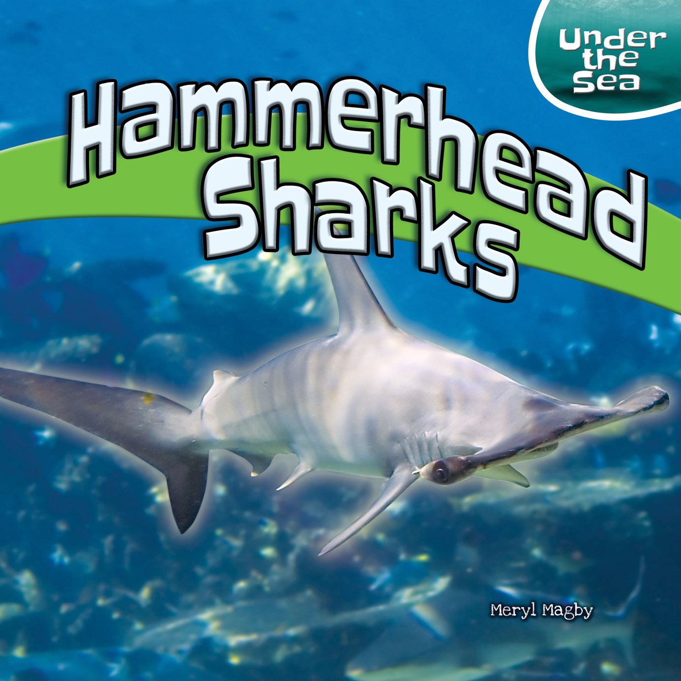 Hammerhead Sharks (Under the Sea): Magby, Meryl: 9781448873982: Amazon ...