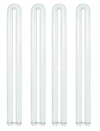 Sylvania 21878 - FBO31/835 31 Watt T8 U Bend 3500K (4 Pack): Amazon.com ...