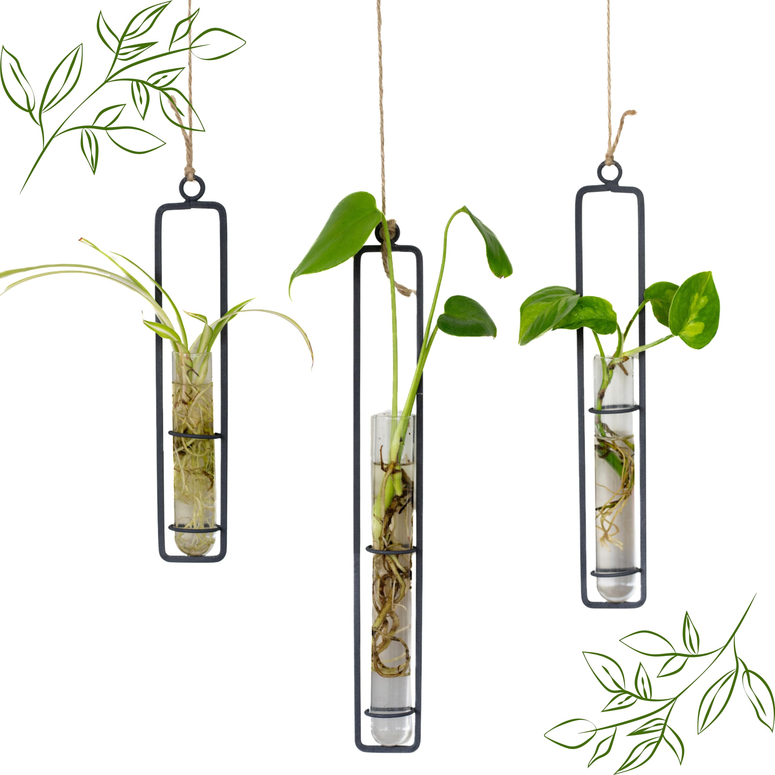 Amazon.com: Propagation Stations |Pack of 3| Hanging Plant Propagation ...