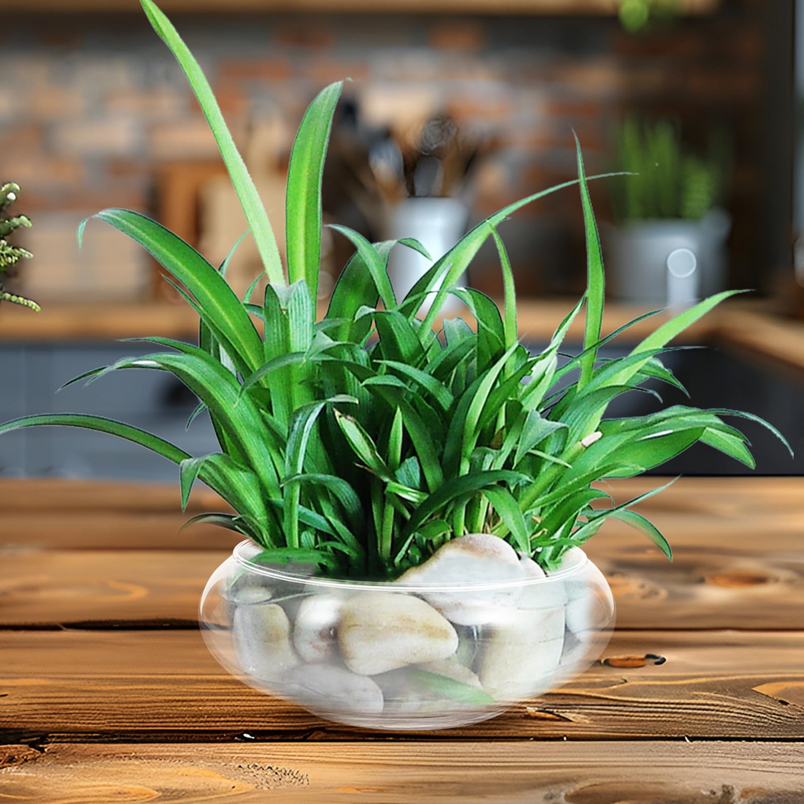 Shallow Tank VOSAREA Glass Vase Bowl Glass Bubble Bowl Terrarium ...