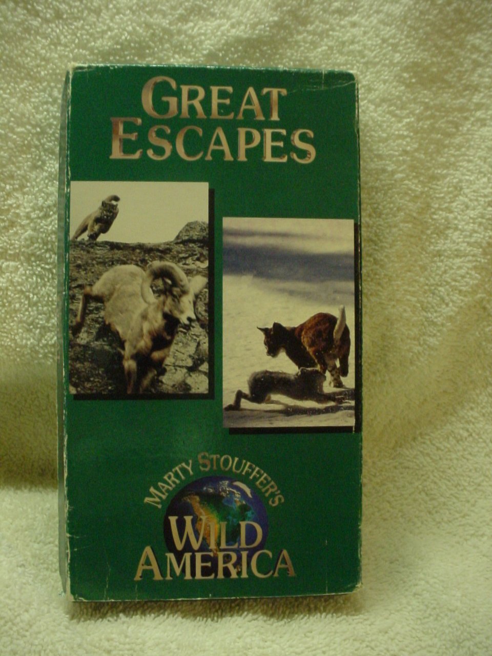 Amazon.com: Marty Stouffer's Wild America: Great Escapes (VHS Video ...