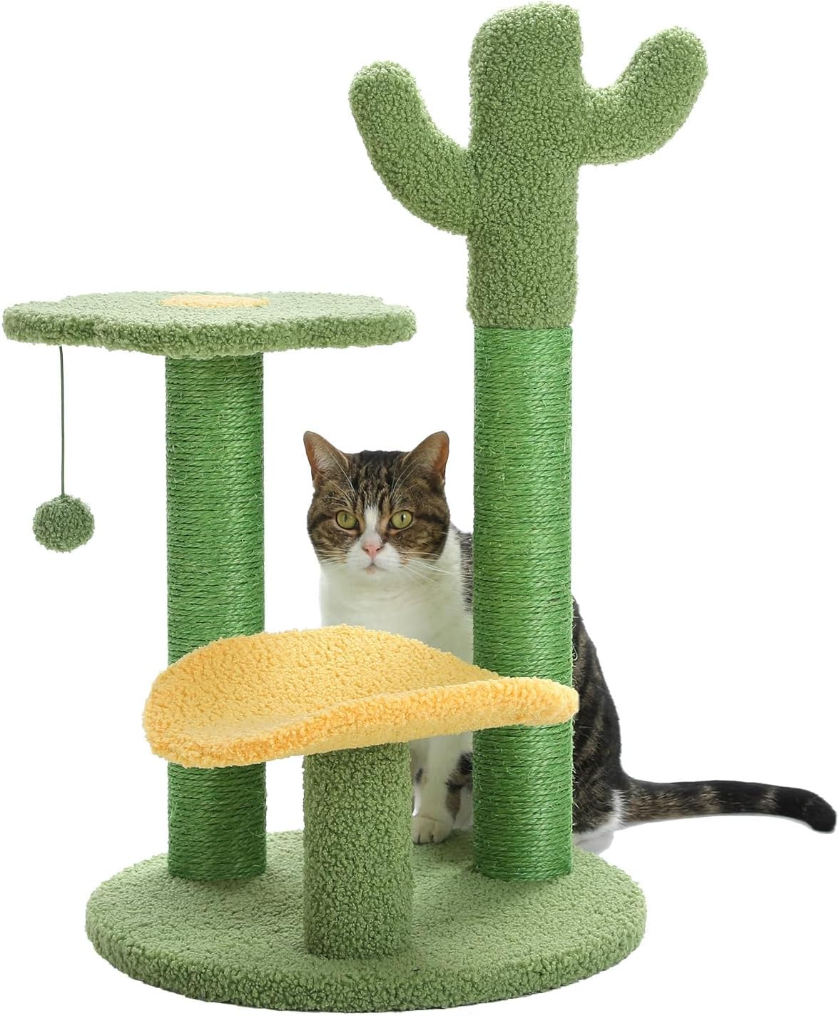 Amazon.com : Made4Pets Cat Scratching Post, Cactus Scratcher Tree for ...