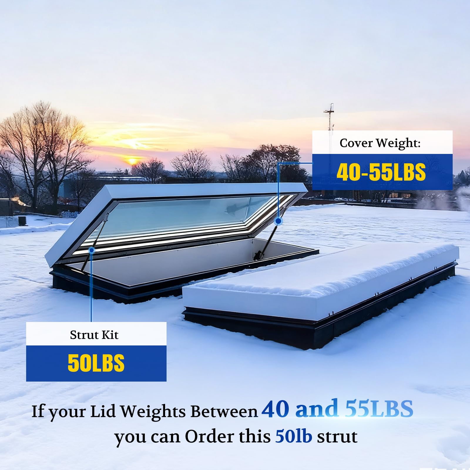 Snapklik.com : ARANA C1622187 26 Inch 50LB Gas Shocks Spring Undercover ...