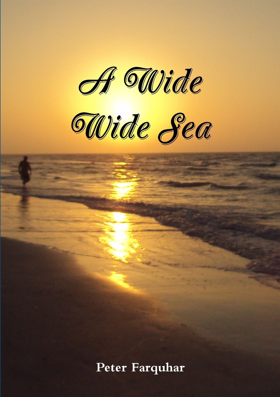 A Wide Wide Sea: Amazon.co.uk: Farquhar, Peter: 9781326343385: Books