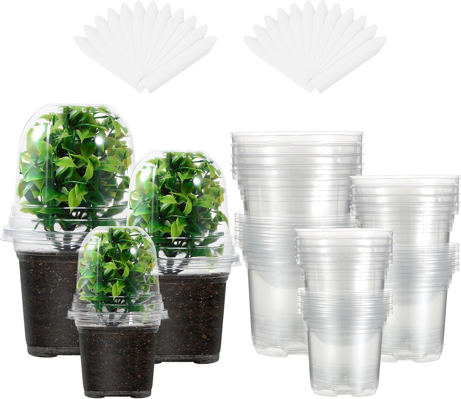 Amazon.com: Vesici 48 Sets Clear Nursery Pots with Humidity Domes Seed ...