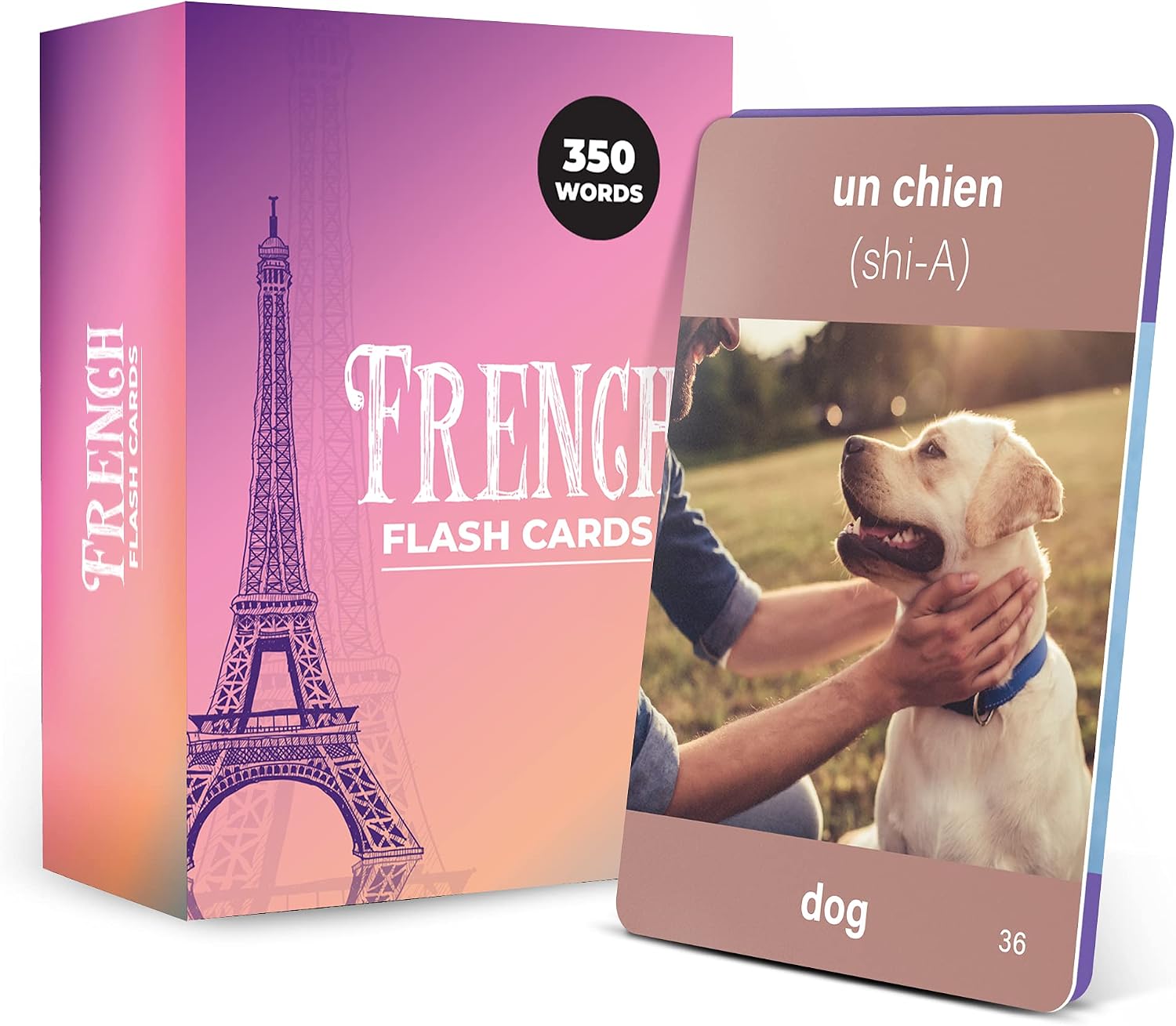 Amazon.com: 350 French Vocabulary Flash Cards – Educational Language ...