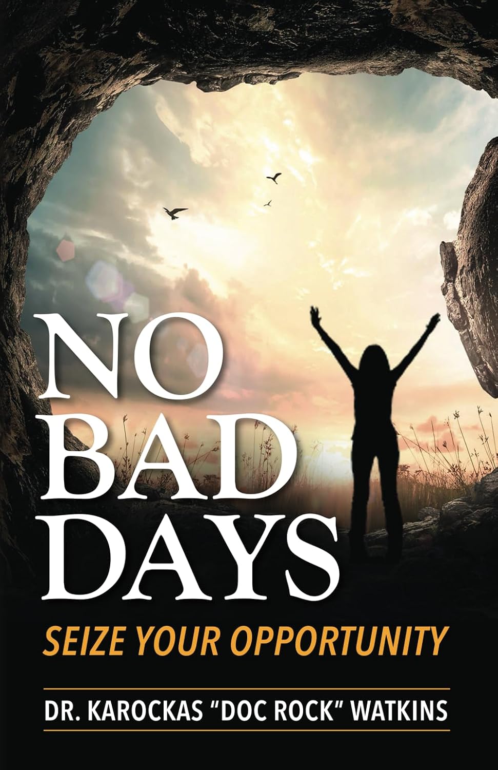 No Bad Days: Seize Your Opportunity (Mastering Personal and ...