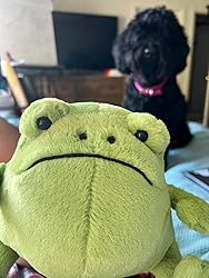 Amazon.com: Jellycat Ricky Rain Frog Stuffed Animal, Medium 7 inches ...
