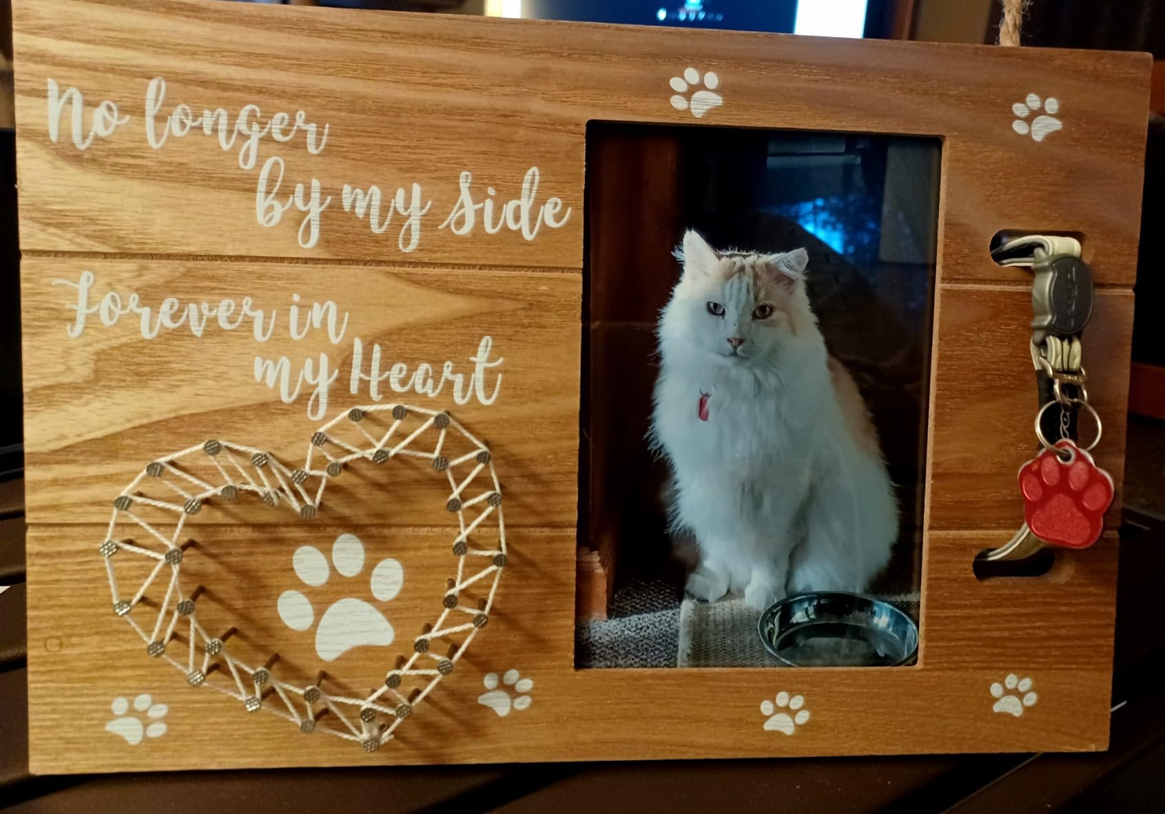 Pet Photo Frame – Pet Memorial Picture Frame - Cat or Dog Pet Loss A ...