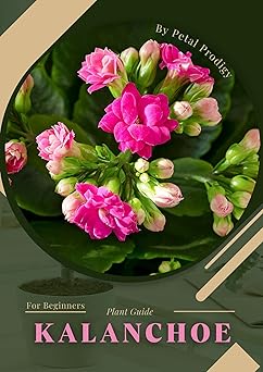 Amazon.com: Kalanchoe: Prodigy Petal, Plant Guide eBook : Prodigy, Petal: Kindle Store