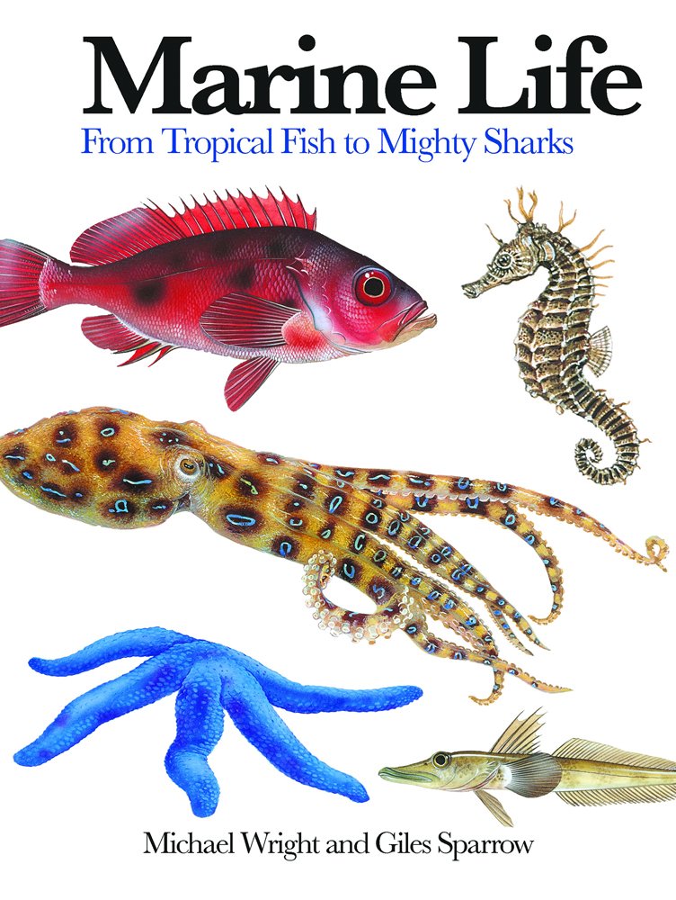 Marine Life: From Tropical Fish to Mighty Sharks: Wright, Michael ...
