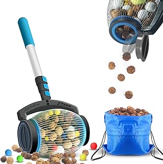 Gathering Acorns: An Easy Guide To Collecting Nature's Nutty Treats ...