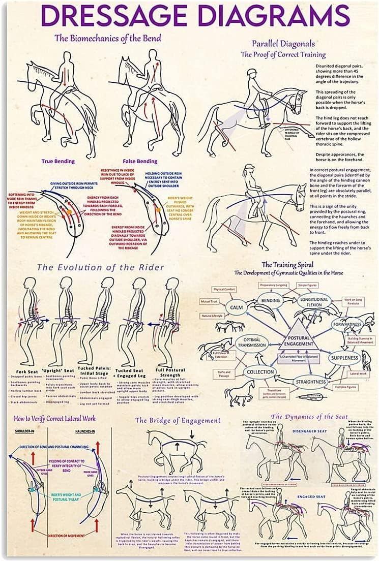 Amazon.com: Equestrian Knowledge Metal Sign Vintage Wall Decor Club ...