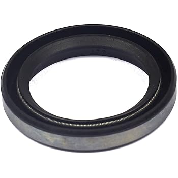 Amazon.com : Paddsun 2 PCS Oil Seal Kit for Briggs & Stratton 795387 ...