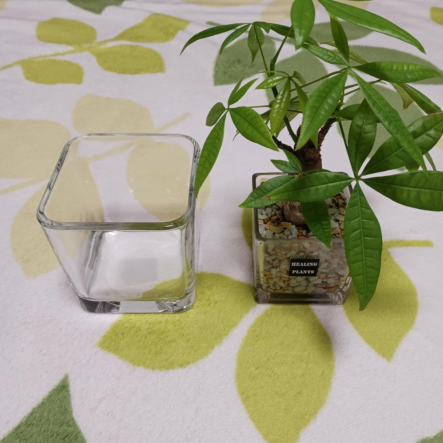 Amazon｜Libbey(リビー) キューブボティブ 5476 ソーダガラス PBTF403｜ショットグラス オンライン通販