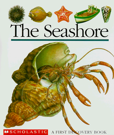 The Seashore (First Discovery Books): Jeunesse, Gallimard, Cohat ...