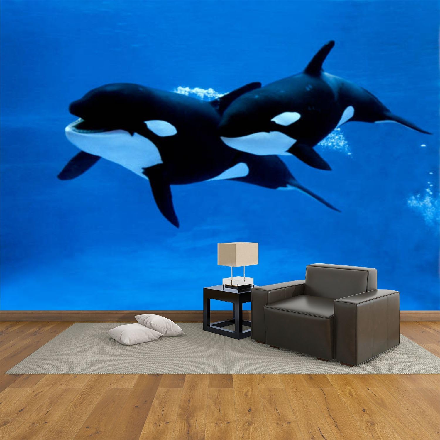 Orca Mural Gym Discover The Fascinating Underwater World Of Orcas At