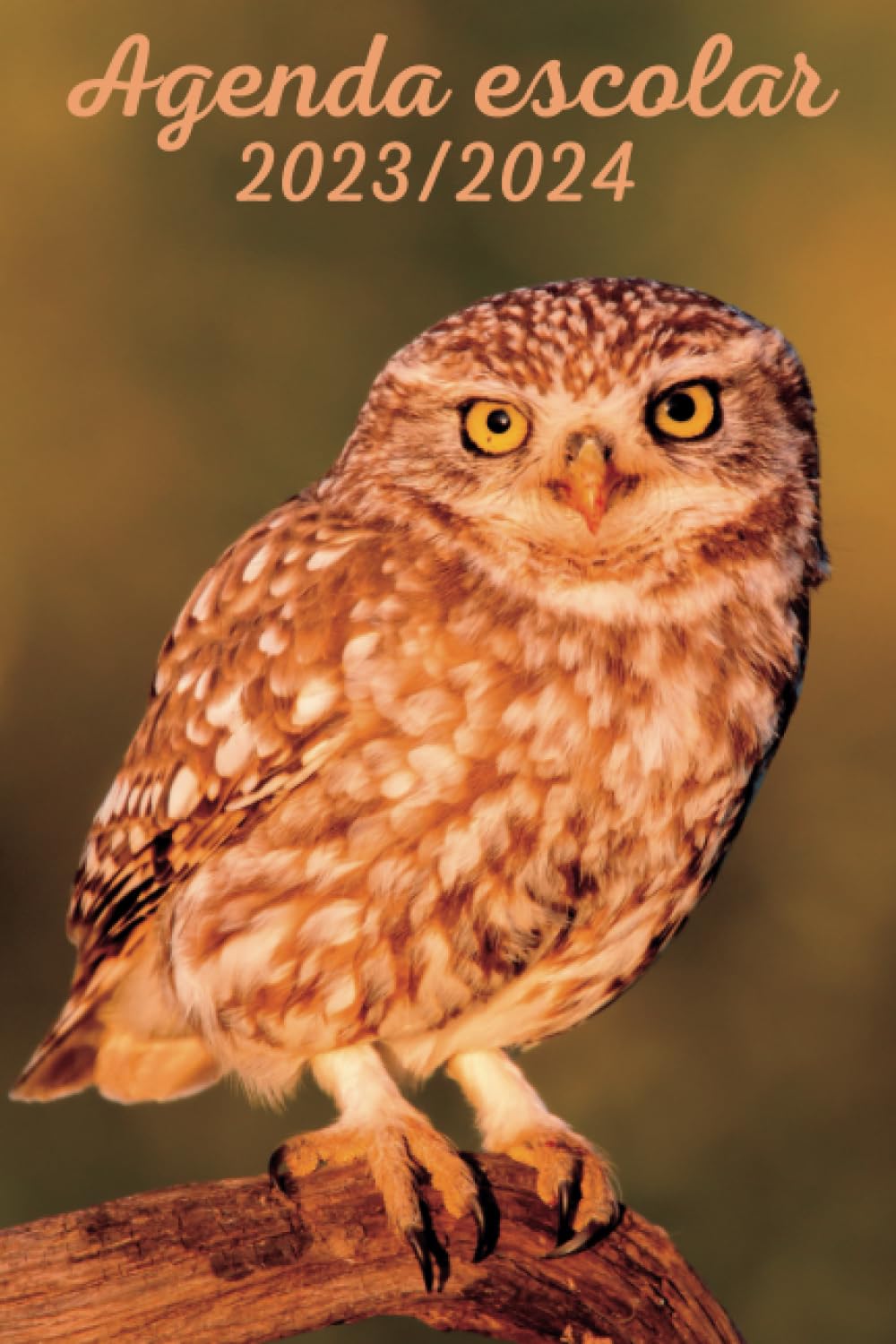 Agenda Escolar 2023-2024 Búho: Organizador escolar con horarios ...