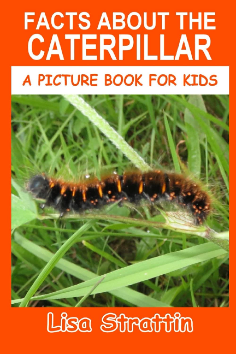 Facts About the Caterpillar (A Picture Book For Kids): Strattin, Lisa ...