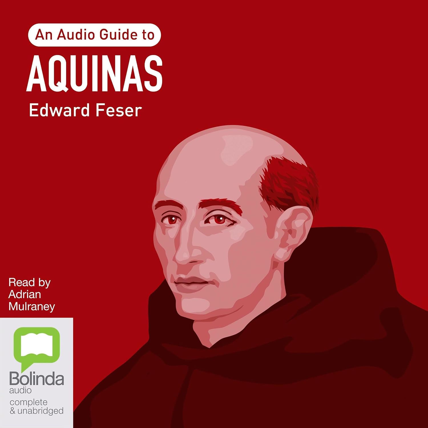 Amazon.com: Aquinas: An Audio Guide (Audible Audio Edition): Edward ...