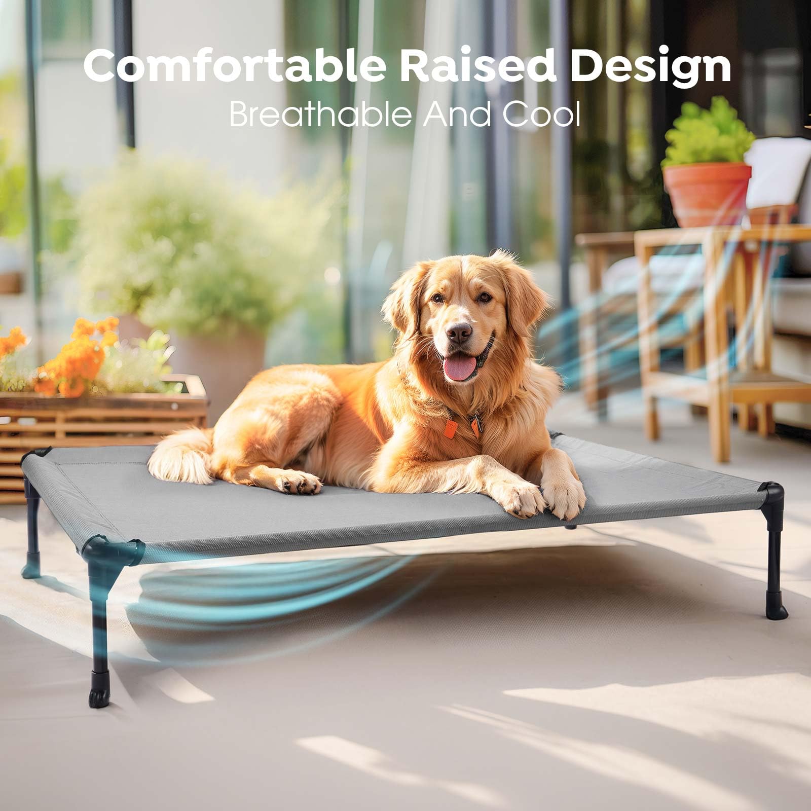 Breathable Mesh Dog Cot RRPETHOME Elevated Cooling Dog Bed - Large ...