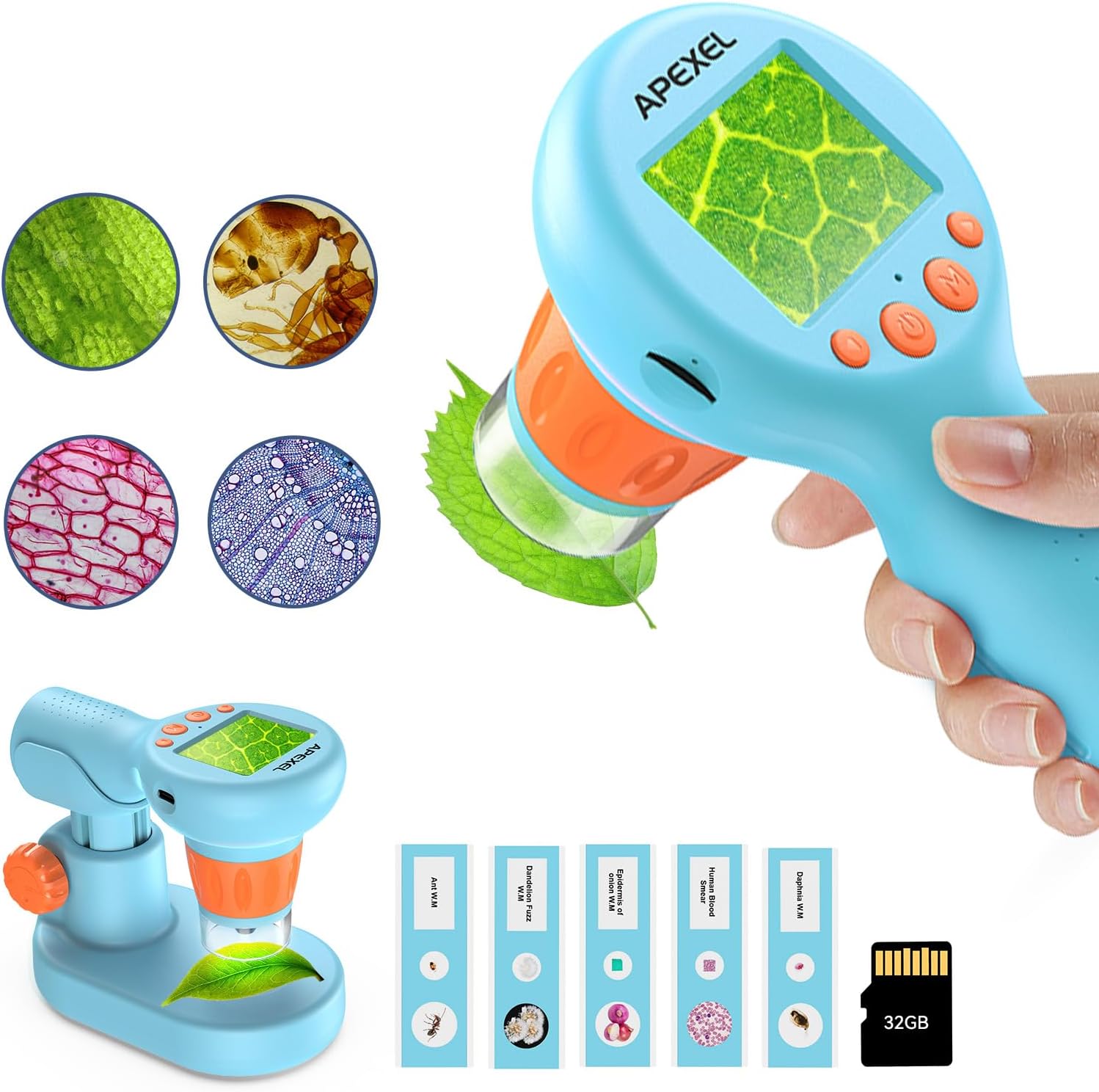 Amazon.com: APEXEL Digital Microscope for Kids, 800X Handheld ...