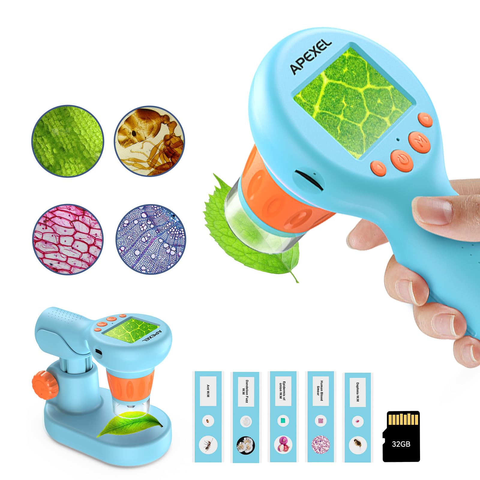 Amazon.com: APEXEL Digital Microscope for Kids, 800X Handheld Kids ...