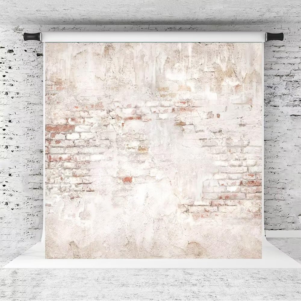 Amazon.com : Kate Brick Wall Photo Backdrop Vintage Background for ...