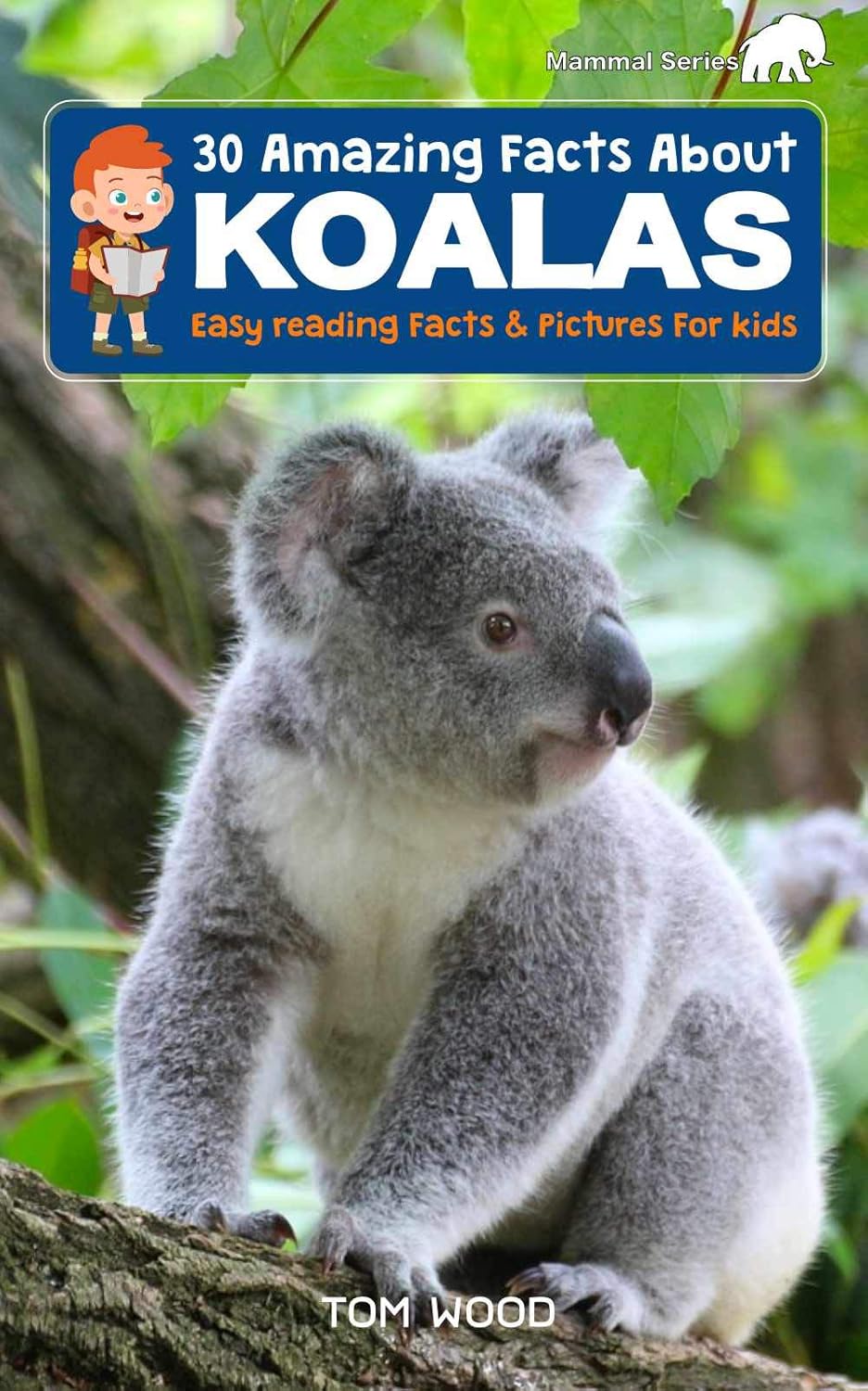 30 Amazing Facts About Koalas: Easy Reading Facts & Pictures For Kids ...