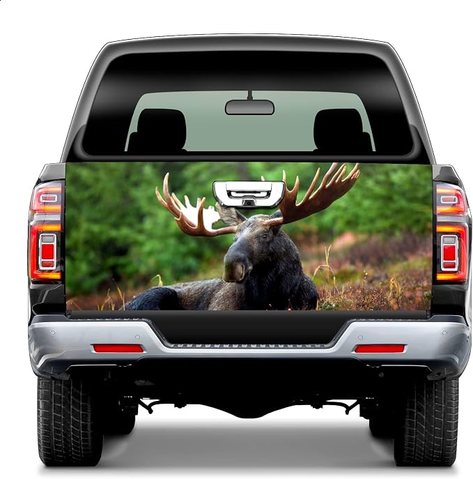 Amazon.com - Truck Tailgate Wraps Stickers Decals 58″ x 24″ Pickup ...
