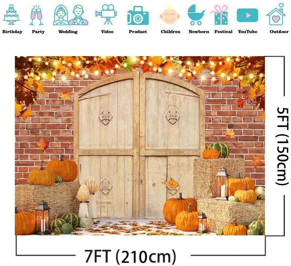 Barn Stall Ideas Halloween