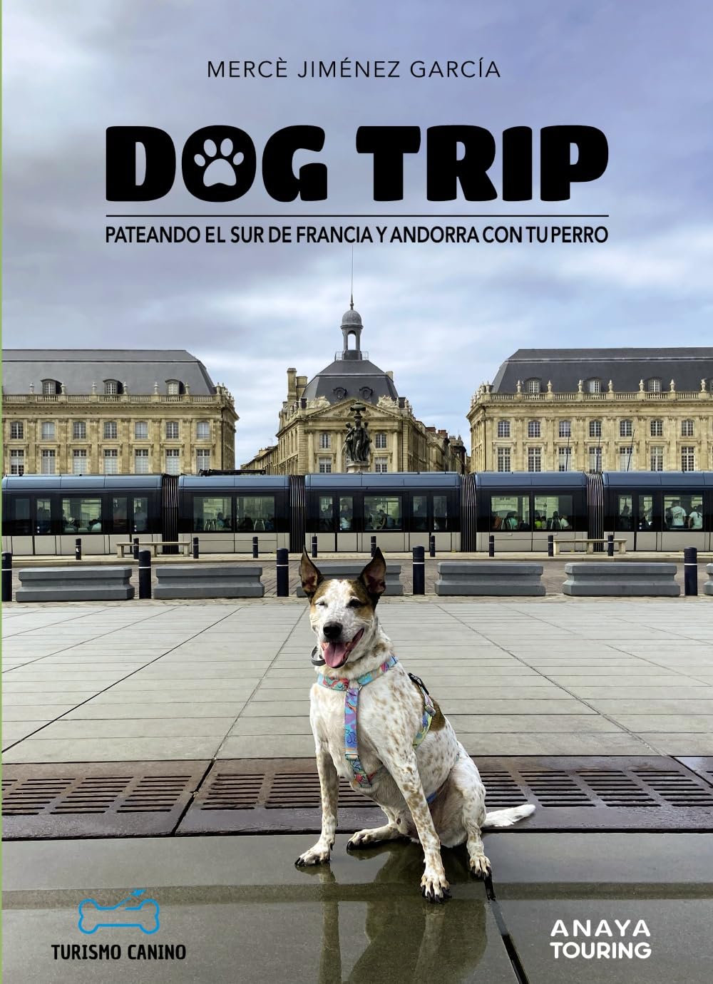 Dog trip. Pateando el sur de Francia y Andorra con tu perro: Jiménez ...