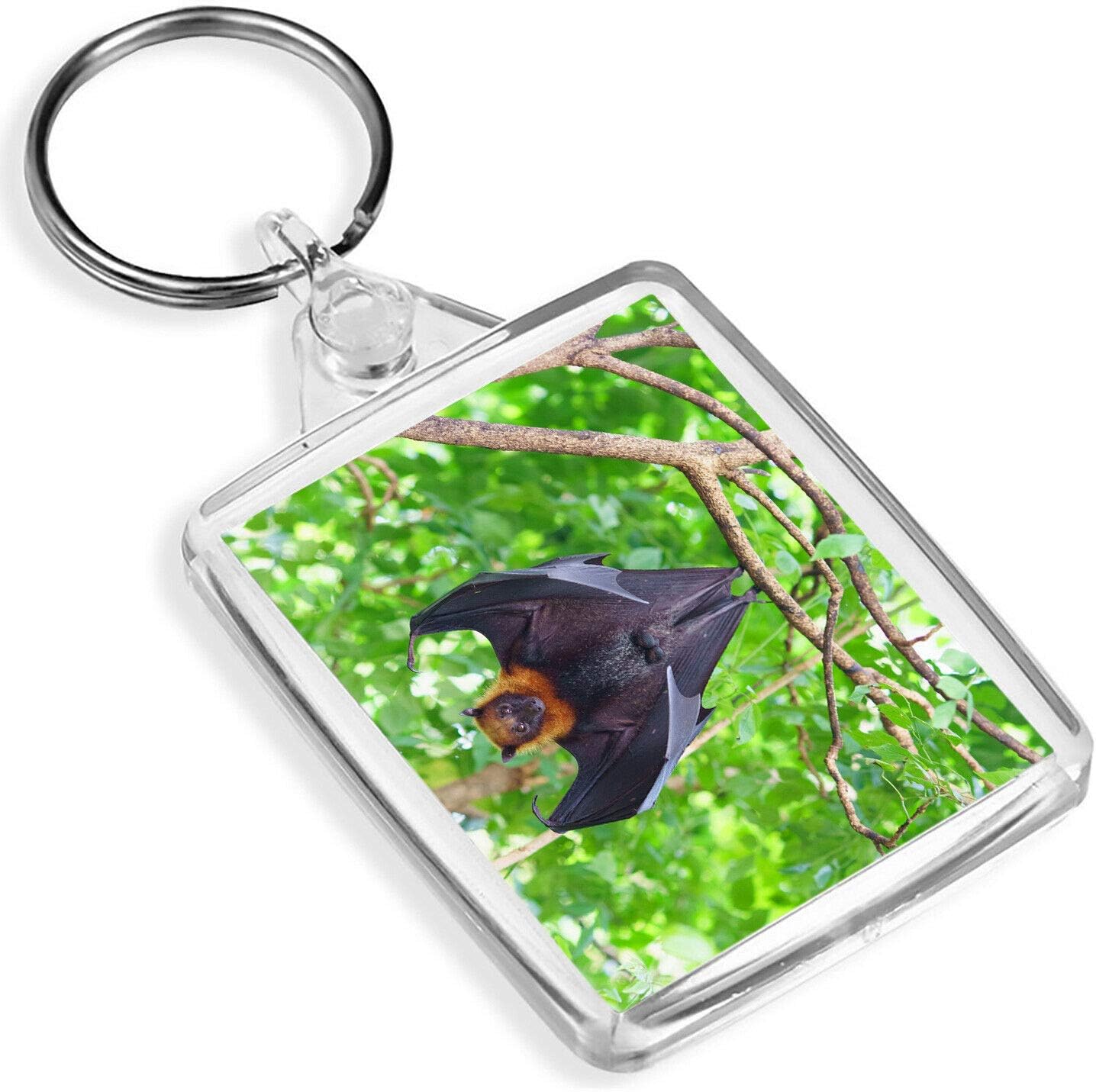 Amazon.com: Lyle's Flying Fox Fruit Bat Keyring Jungle Night Keyring ...