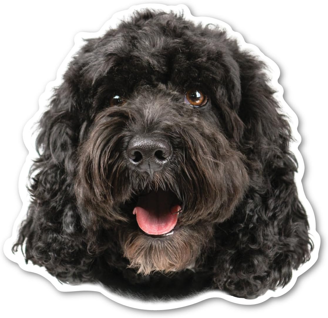 Amazon.com: Magnet America (Black) Cockapoo Dog Magnet is 4.73" x 4.9 ...
