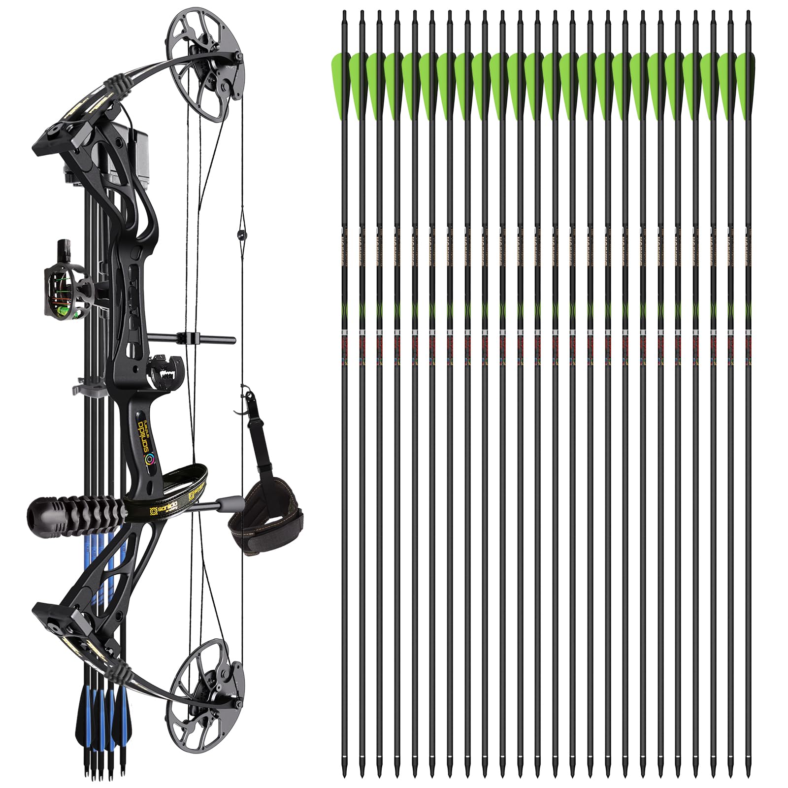 Amazon.com : Dragon X8 Compound Bow Kit and 24Pcs Dragon 9 Carbon ...
