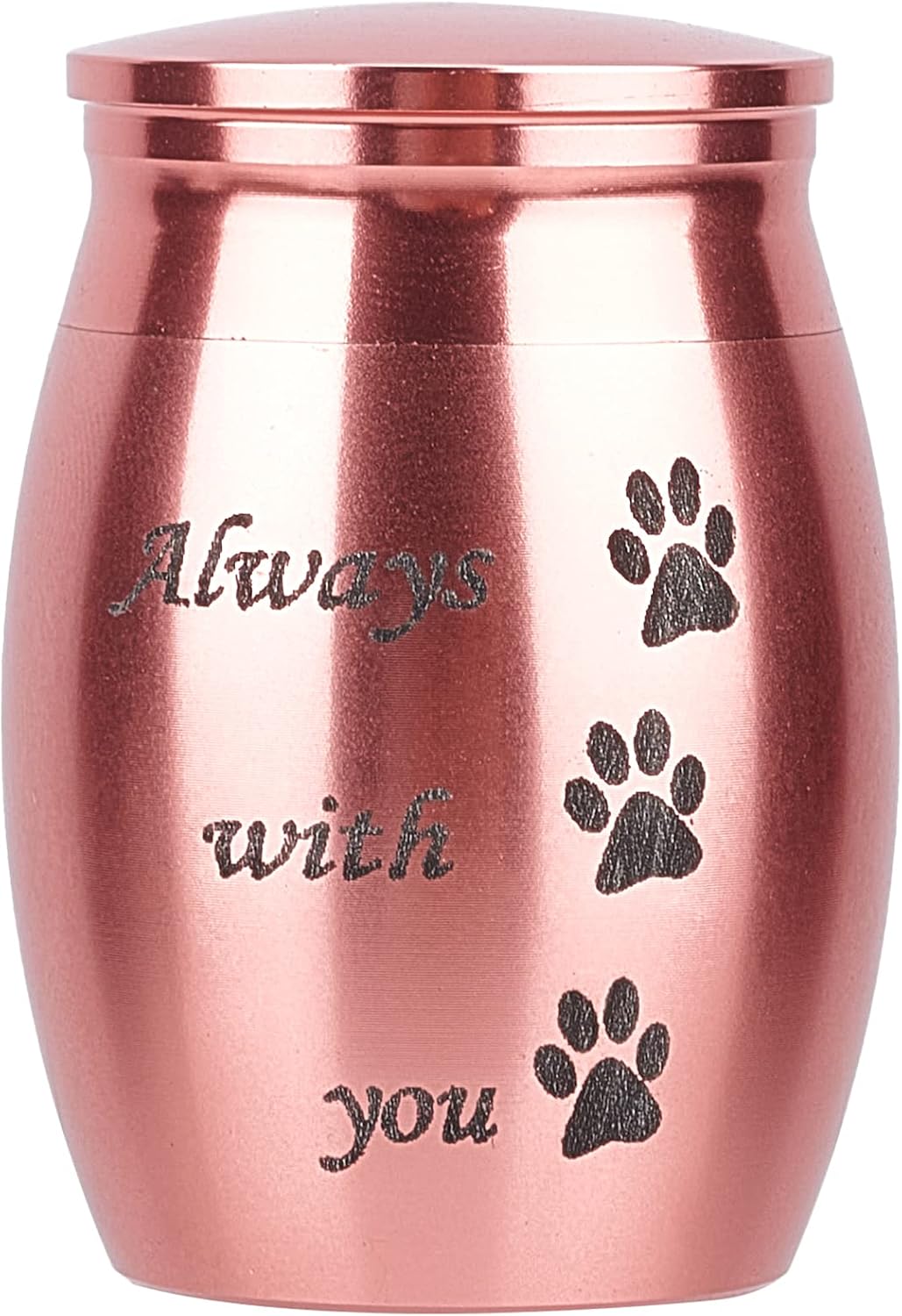 CREATCABIN Petites Urnes pour Animaux de Compagnie Always with You ...