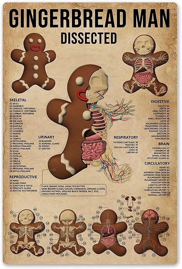 Amazon.com: Starotore Gingerbread Man Dissected Metal Tin Signs ...