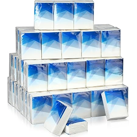 Amazon.com: 100 Pack Pocket Tissues Travel Packs Bulk 1000 Sheet Small ...
