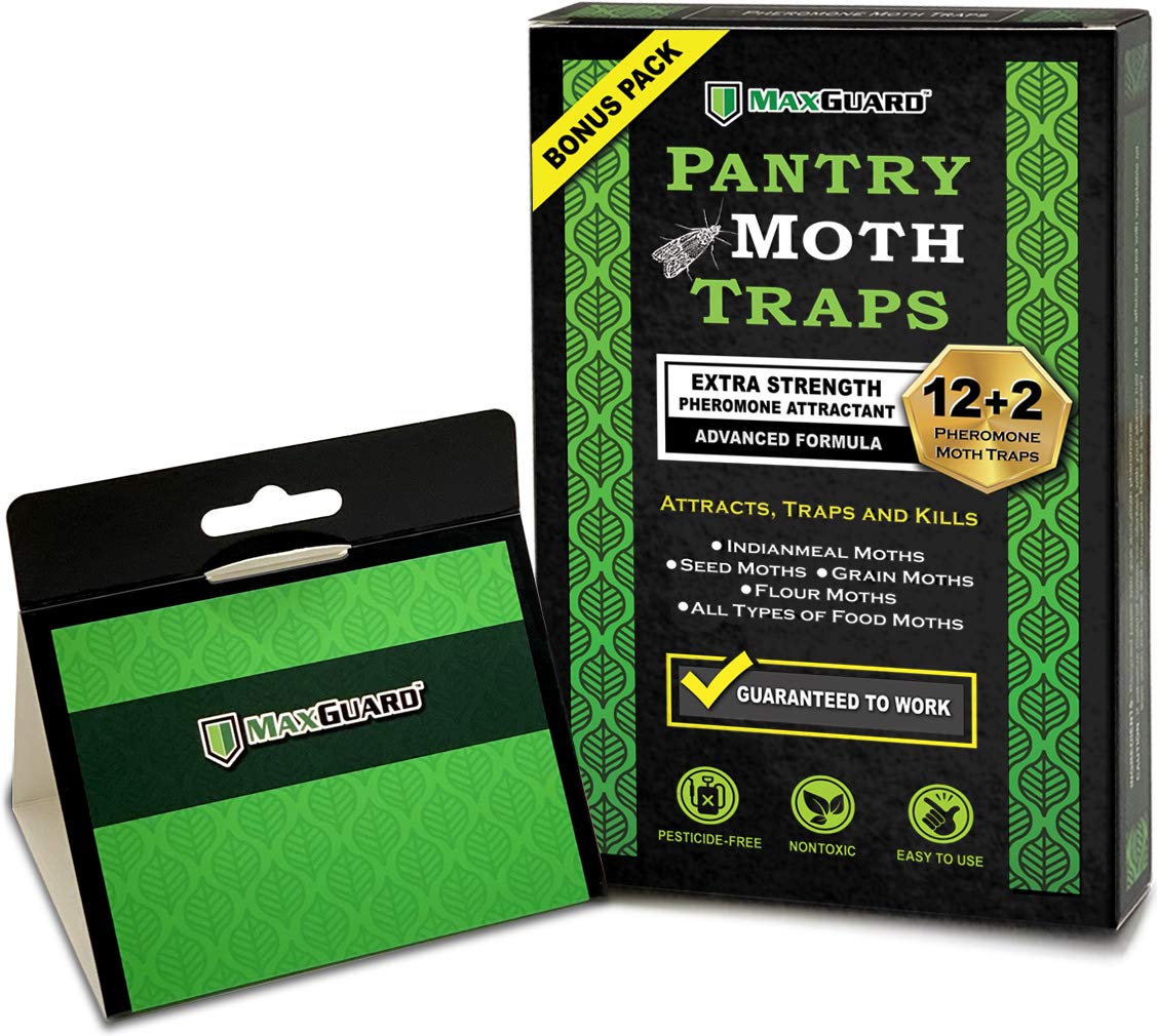 MAXGUARD Pantry Moth Traps (12 Pack +2 Free) with Extra Strength ...