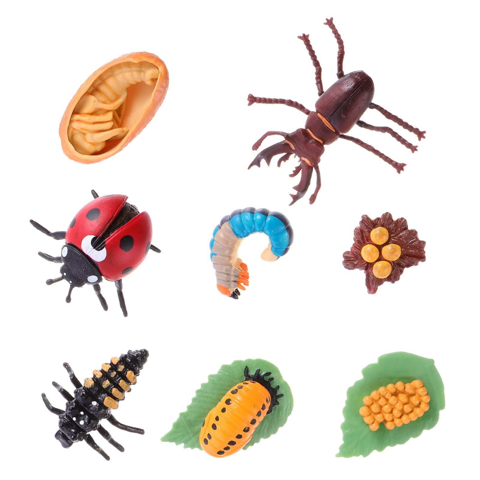 Vosarea 8pcs Life Cycle Of Ladybug And Stag Beetle Animal | Desertcart ...
